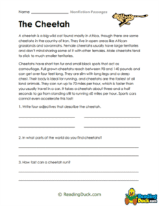 Nonfiction Passages with Questions Worksheets | Reading Duck.com