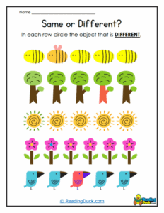 Same vs. Different Worksheets | Reading Duck.com