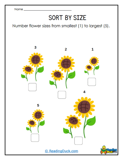 Sort By Things By Size Worksheets | Comparisons | Reading Duck.com