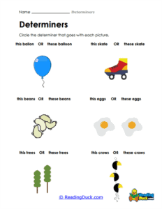 Determiners Worksheets | Grammar Skills | Reading Duck.com