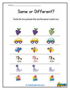 Same vs. Different Worksheets | Reading Duck.com