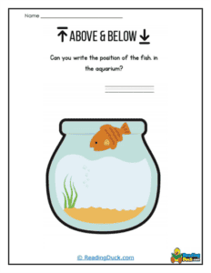 Above or Below Worksheets | Position Words | Reading Duck.com