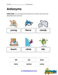 Antonym Worksheets