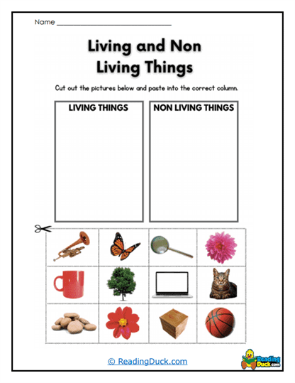 Sorting and Categorizing Worksheets | Reading Duck.com