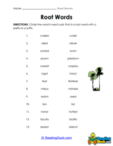 Root Words Worksheets | Vocabulary Series | Reading Duck.com