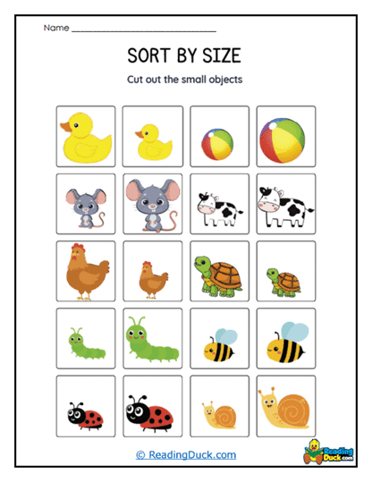 Sort By Things By Size Worksheets | Comparisons | Reading Duck.com