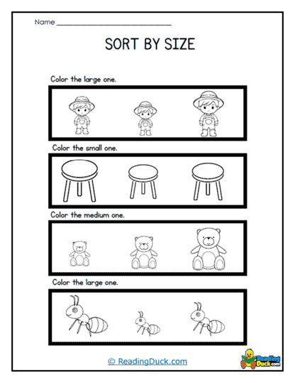 Sort By Things By Size Worksheets | Comparisons | Reading Duck.com