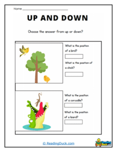 Up or Down Worksheets