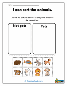 Sorting and Categorizing Worksheets | Reading Duck.com