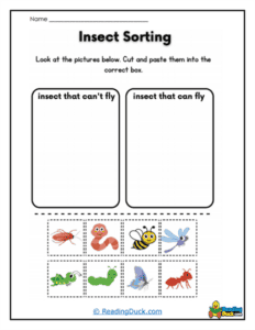 Sorting and Categorizing Worksheets | Reading Duck.com