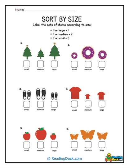 Sort By Things By Size Worksheets | Comparisons | Reading Duck.com