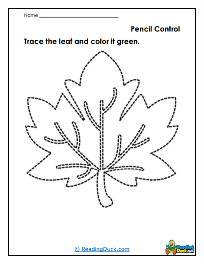 Pencil Control Worksheets | Fine Motor Series | Reading Duck.com