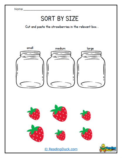 Sort By Things By Size Worksheets | Comparisons | Reading Duck.com
