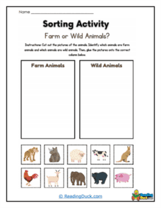 Sorting and Categorizing Worksheets | Reading Duck.com