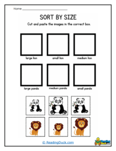 Sort By Things By Size Worksheets | Comparisons | Reading Duck.com