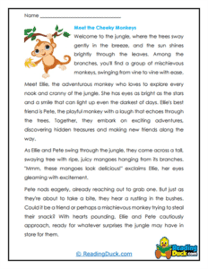 Long Vowel Reading Passages Worksheets | Reading Duck.com