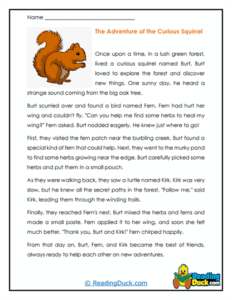 R-Controlled Vowel Reading Passages Worksheets