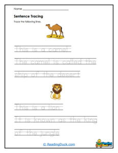 Sentence Tracing Worksheets | Handwriting Series | Reading Duck.com