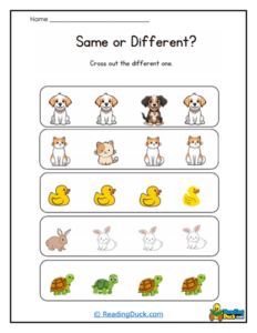 Same vs. Different Worksheets | Comparisons | Reading Duck.com