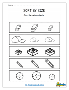 Sort By Things By Size Worksheets | Comparisons | Reading Duck.com
