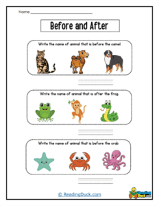 Before or After Worksheets