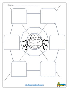 Spider Maps | Graphic Organizer Series | Reading Duck.com
