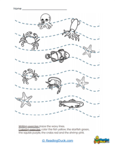 Path Tracing Worksheets | Fine Motor Series | Reading Duck.com
