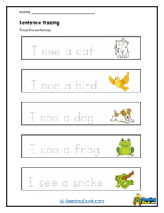 Sentence Tracing Worksheets | Handwriting Series | Reading Duck.com
