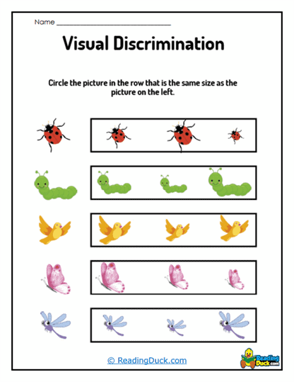 Visual Discrimination Worksheets | Print Concept | Reading Duck.com