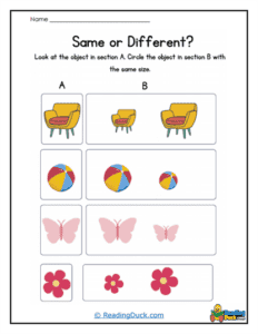 Same vs. Different Worksheets | Comparisons | Reading Duck.com