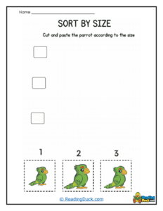 Sort By Things By Size Worksheets | Comparisons | Reading Duck.com