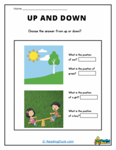 Up or Down Worksheets | Position Words | Reading Duck.com