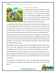 Armadillo Reading Comprehension Worksheets | Reading Duck.com