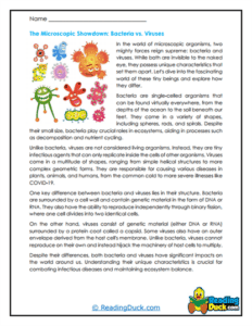 Bacteria Reading Comprehension Worksheets