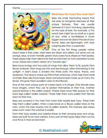 Bees Worksheets | Buzzing Through Busy Hives