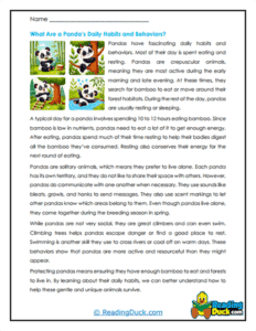 Animals Reading Comprehension Worksheets | Reading Duck.com