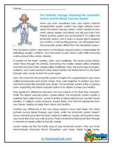 Lymphatic System Worksheets | Human Body | Reading Duck.com