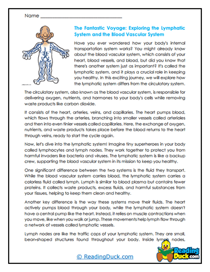Lymphatic System Worksheets | Human Body | Reading Duck.com