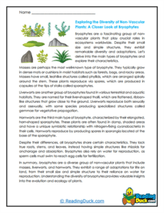 Plant Worksheets | Plant Kingdom | Reading Duck.com