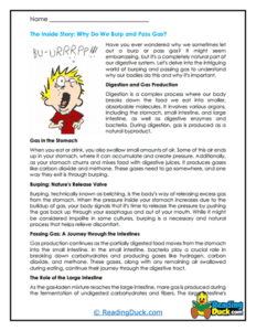 Digestive System Reading Worksheets | Reading Duck.com