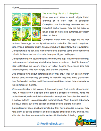 Animals Reading Comprehension Worksheets | Reading Duck.com