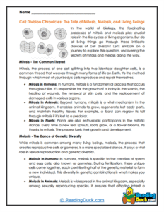 Mitosis and Meiosis Worksheets