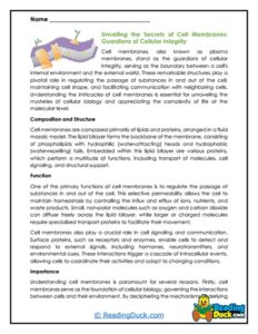 Cell Biology Worksheets | Reading Duck.com
