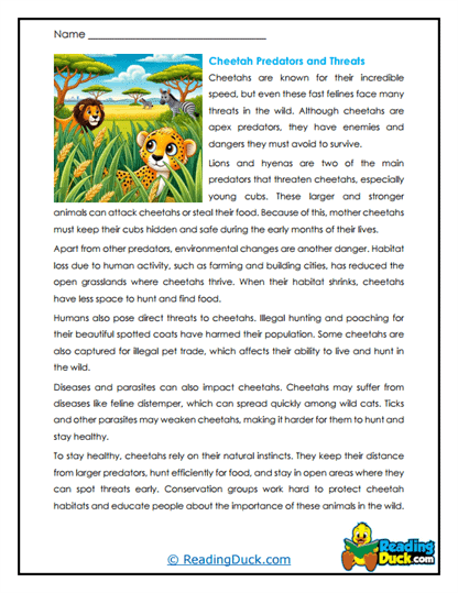 Cheetah Worksheets | Reading Duck.com