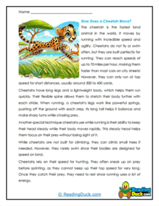 Cheetah Worksheets | Reading Duck.com