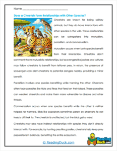 Cheetah Worksheets | Reading Duck.com
