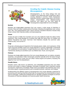Microbiology Worksheets | Biology | Reading Duck.com