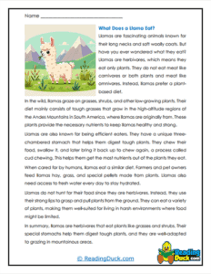 Animals Reading Comprehension Worksheets | Reading Duck.com