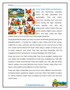 Foxes Reading Worksheets | Reading Duck.com