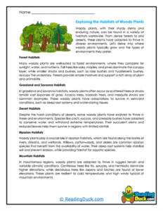 Plant Worksheets | Plant Kingdom | Reading Duck.com